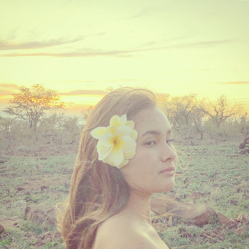 Planet Journal 惑星日記 山崎美弥子｜vol.7 未だ見ぬ風景 – Numero CLOSET